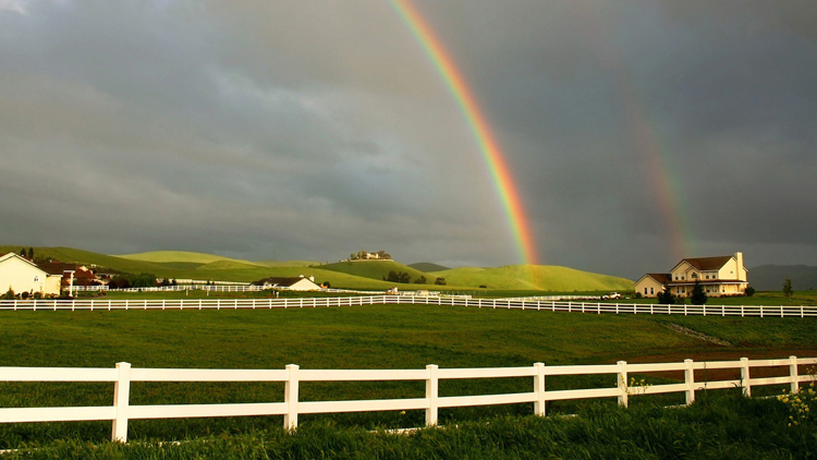 Google Goes After "The Farms" | Bluetext