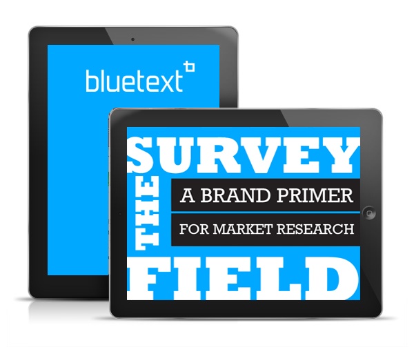 Bluetext's Market Research Primer | Bluetext